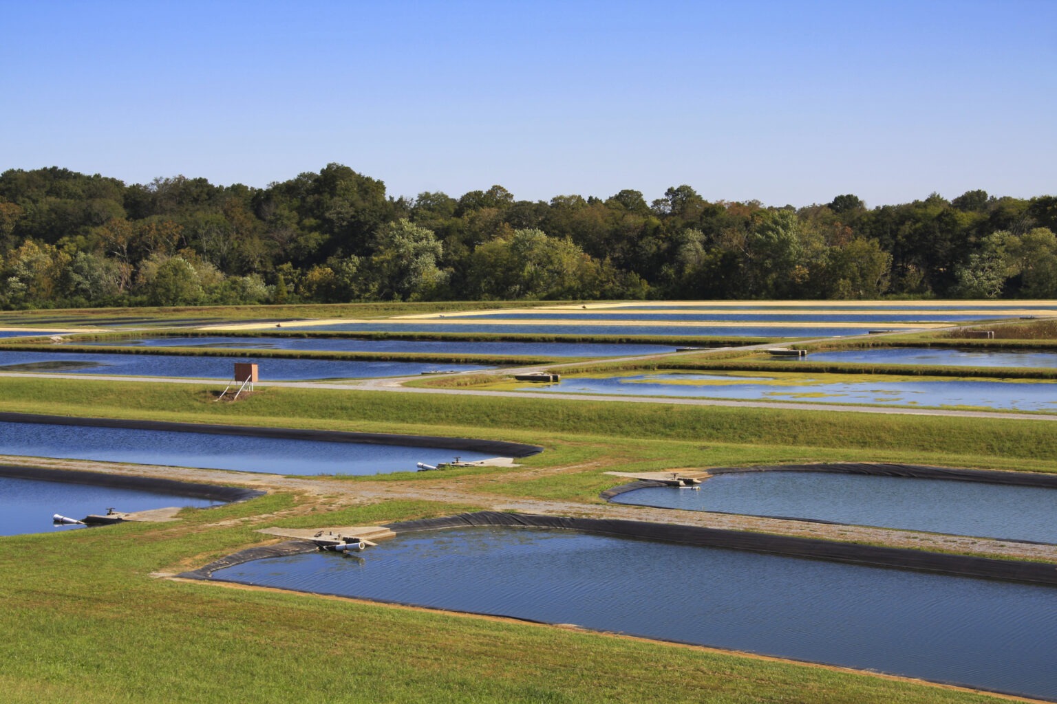 Fish Hatcheries | E Squared Geomembranes
